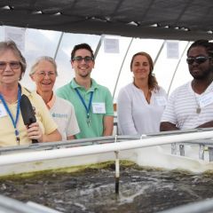 Benedictine Sisters of FL – Touching Life Through Prayer and Service